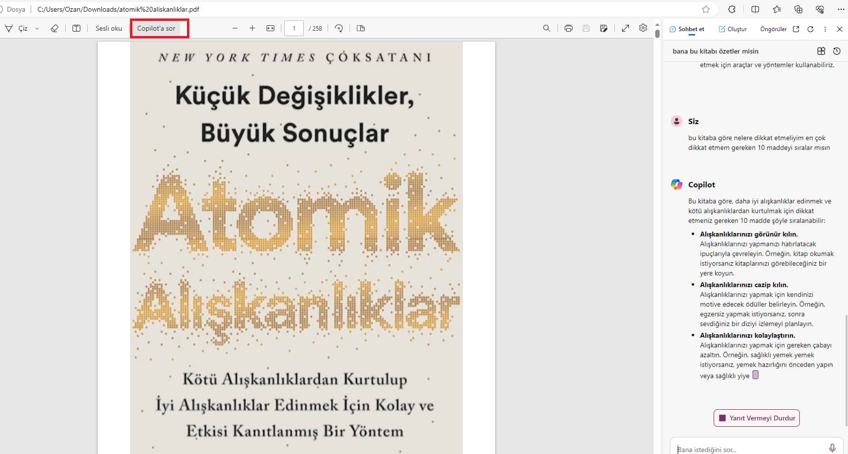 PDF Özetleyen Yapay Zeka: Ücretsiz PDF Özeti Çıkar